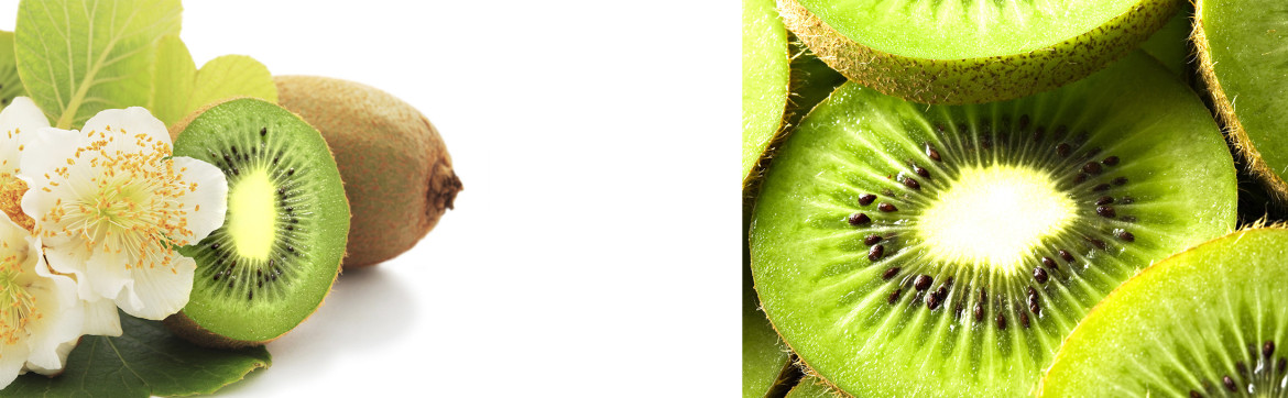 slide-3a – Agrilepidio